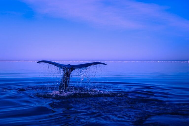 24 Powerful Symbols of Freedom (And Their Origins)