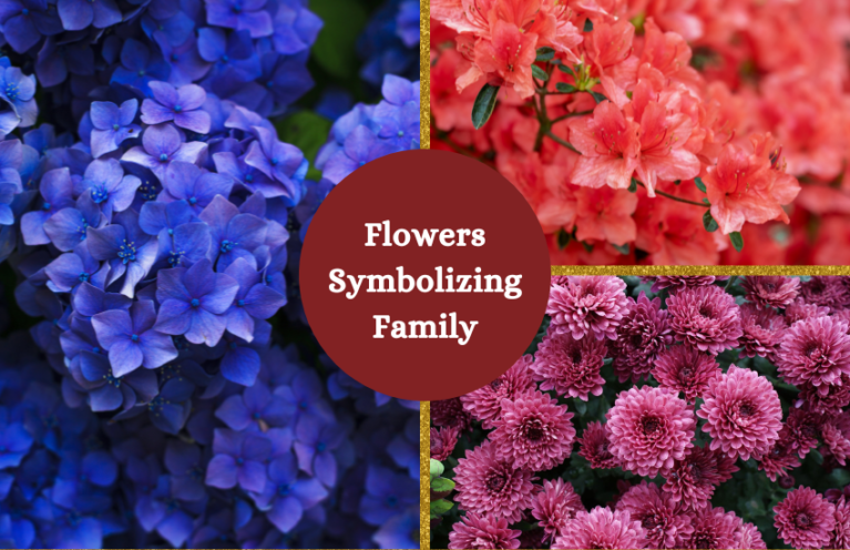 18 Flowers that Symbolize Family
