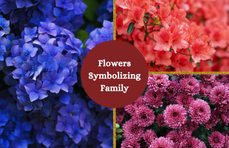 18 Flowers that Symbolize Family