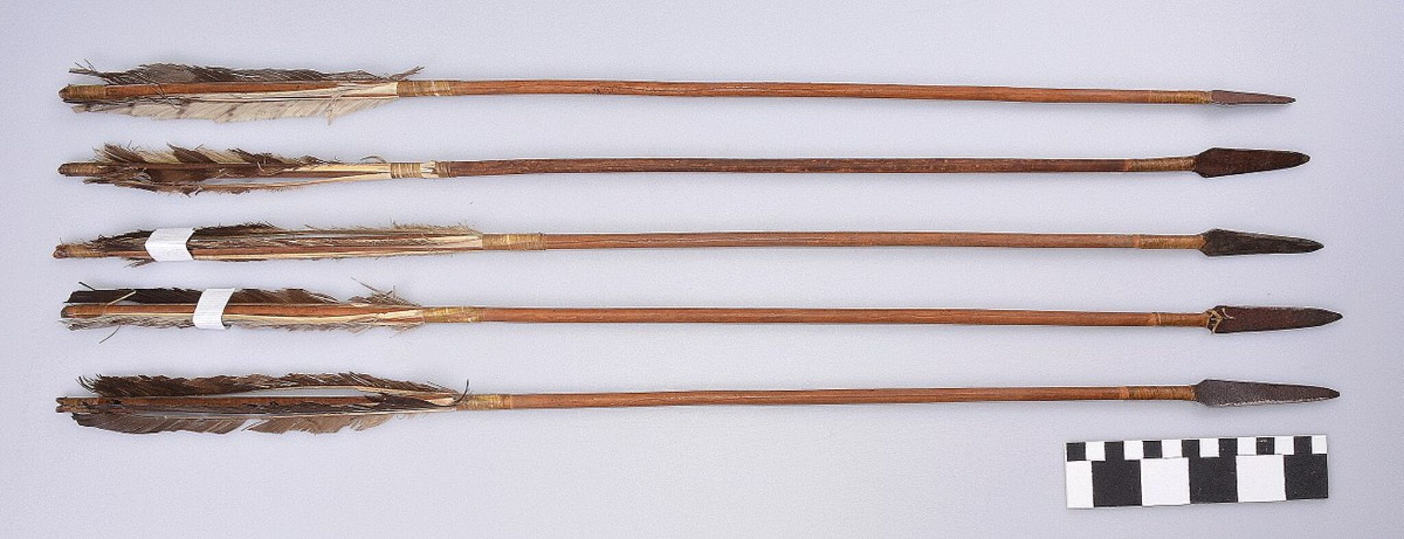 11 Powerful Symbols of War and Their Meanings