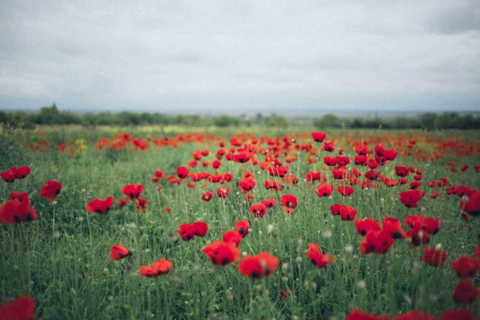 16 Symbols of Youth and What They Mean