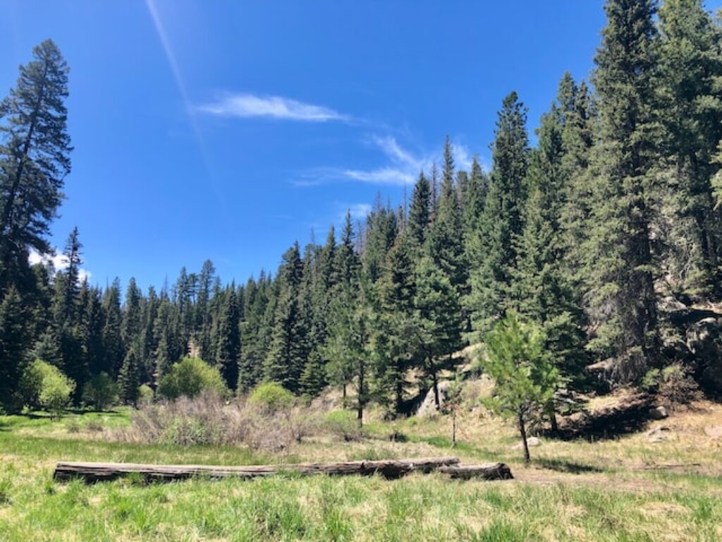 20 Powerful Symbols of Ambition and What They Mean