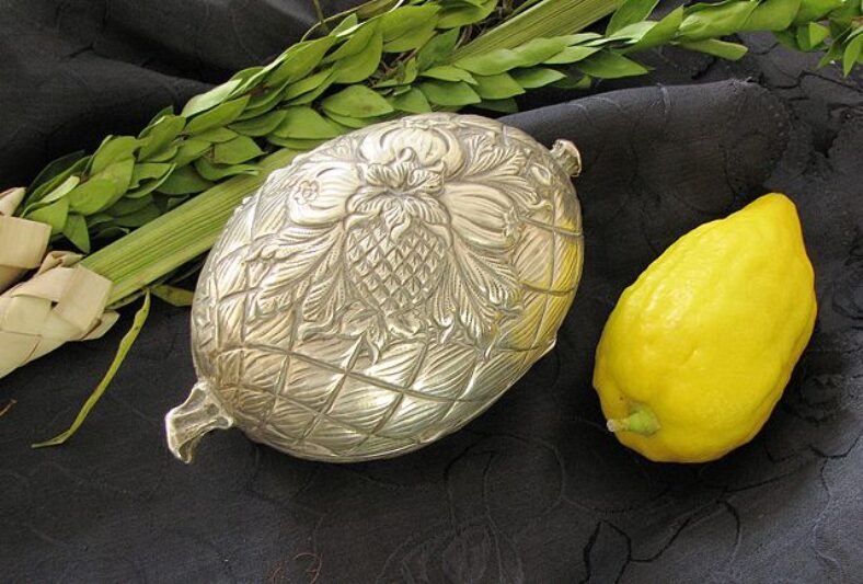 Sukkot Explained: Rituals, Significance, and Celebration - Symbol Sage