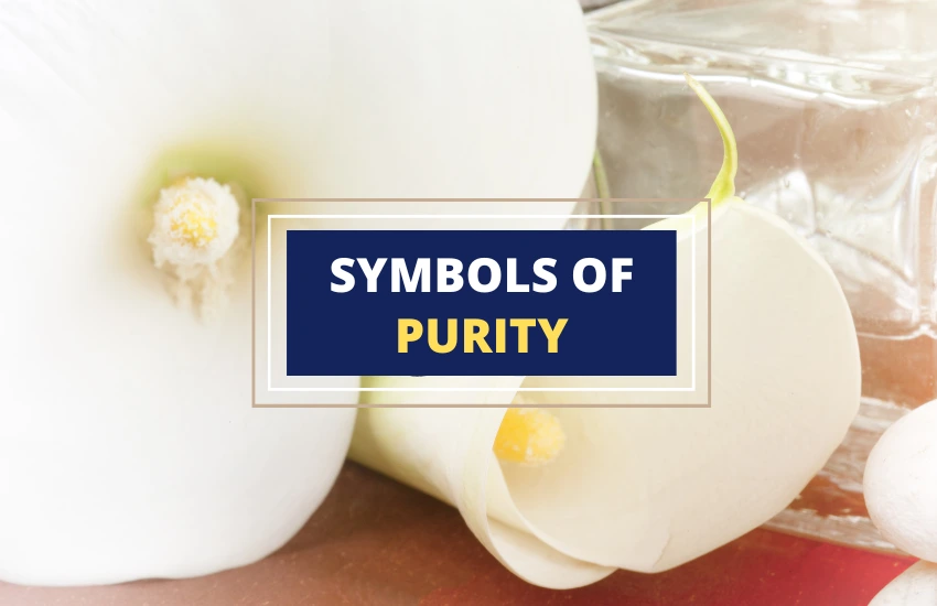 Top 15 Symbols Of Purity And Their Meanings Top 15 Symbols Of Purity And Their Meanings