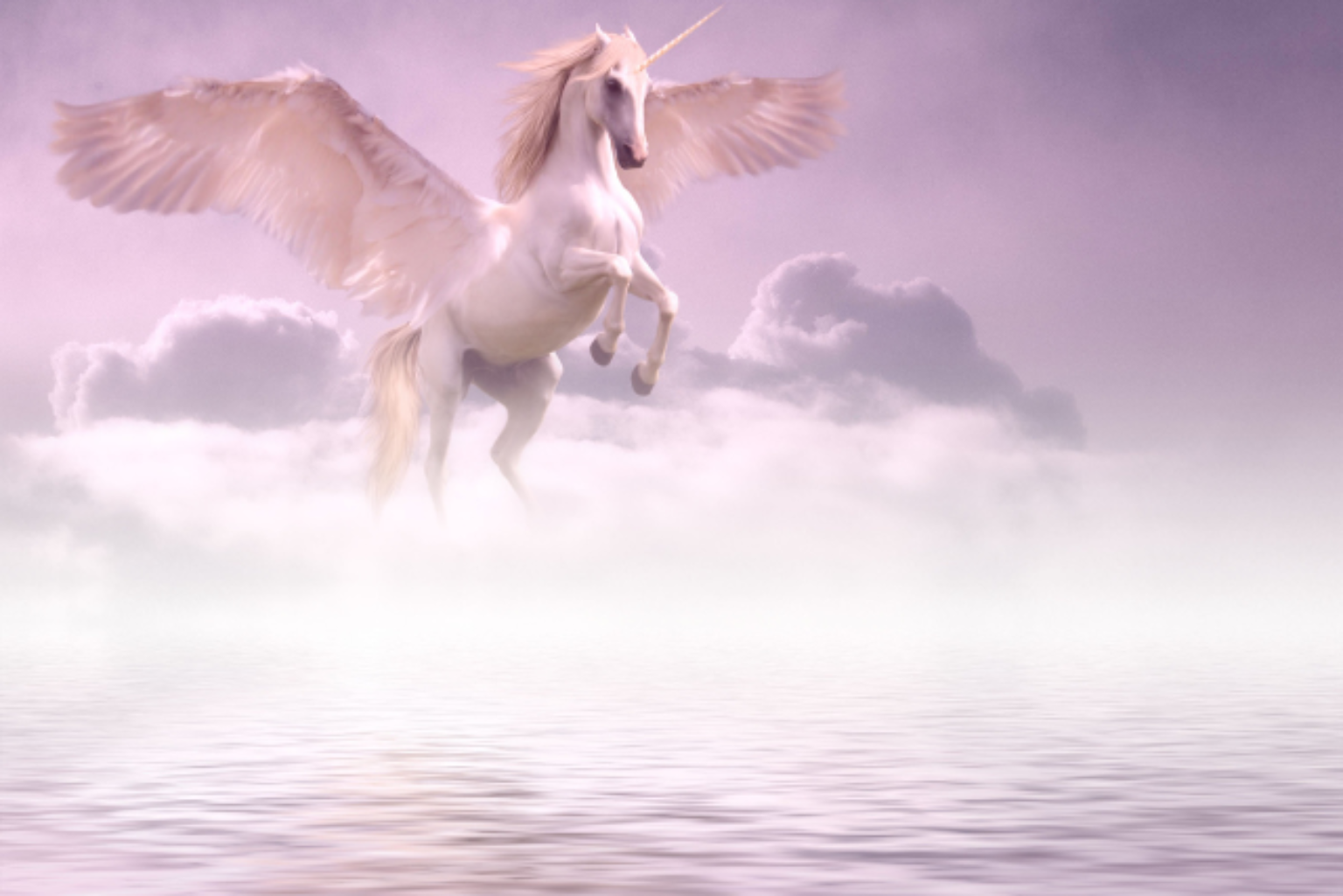 19 Powerful Symbols of Innocence and What They Mean