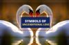 25 Profound Symbols of Unconditional Love