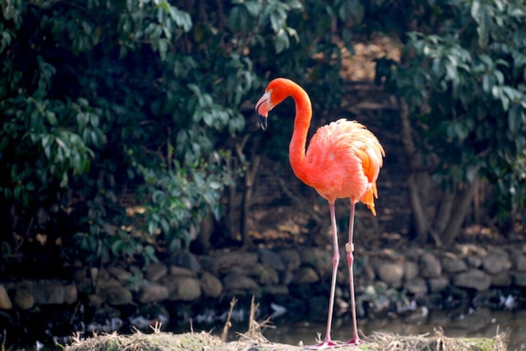 15 Powerful Symbols of Balance and Harmony