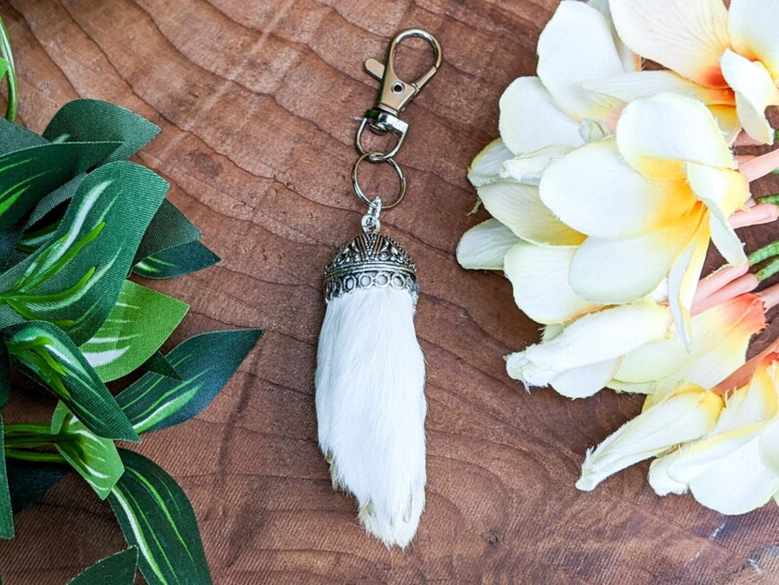 Lucky Rabbit’s Foot – History and Symbolism