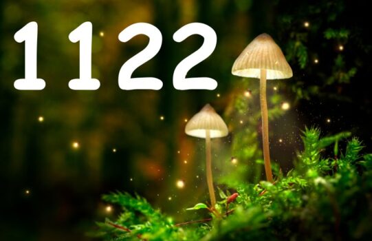 The Power of Angel Number 1122 and What It Means for Your Life