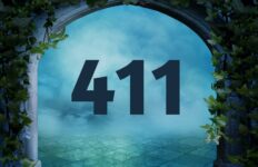 Angel Number 411 and What It Means for Your Life
