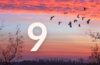 Angel Number 9 and What It Means for Your Life