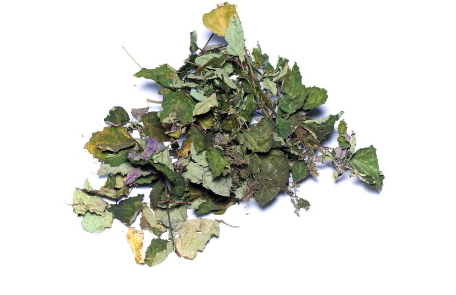 5 Spiritual Benefits of Patchouli and How to Use It