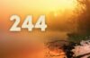 Angel Number 244 and What It Means for Your Life