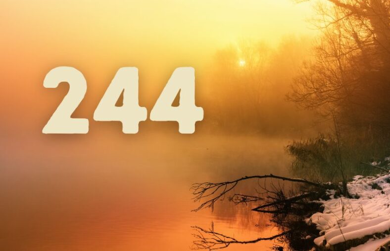 Angel Number 244 and What It Means for Your Life