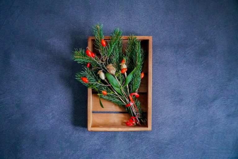 7 Powerful Meanings of Mistletoe: From Healing to Love