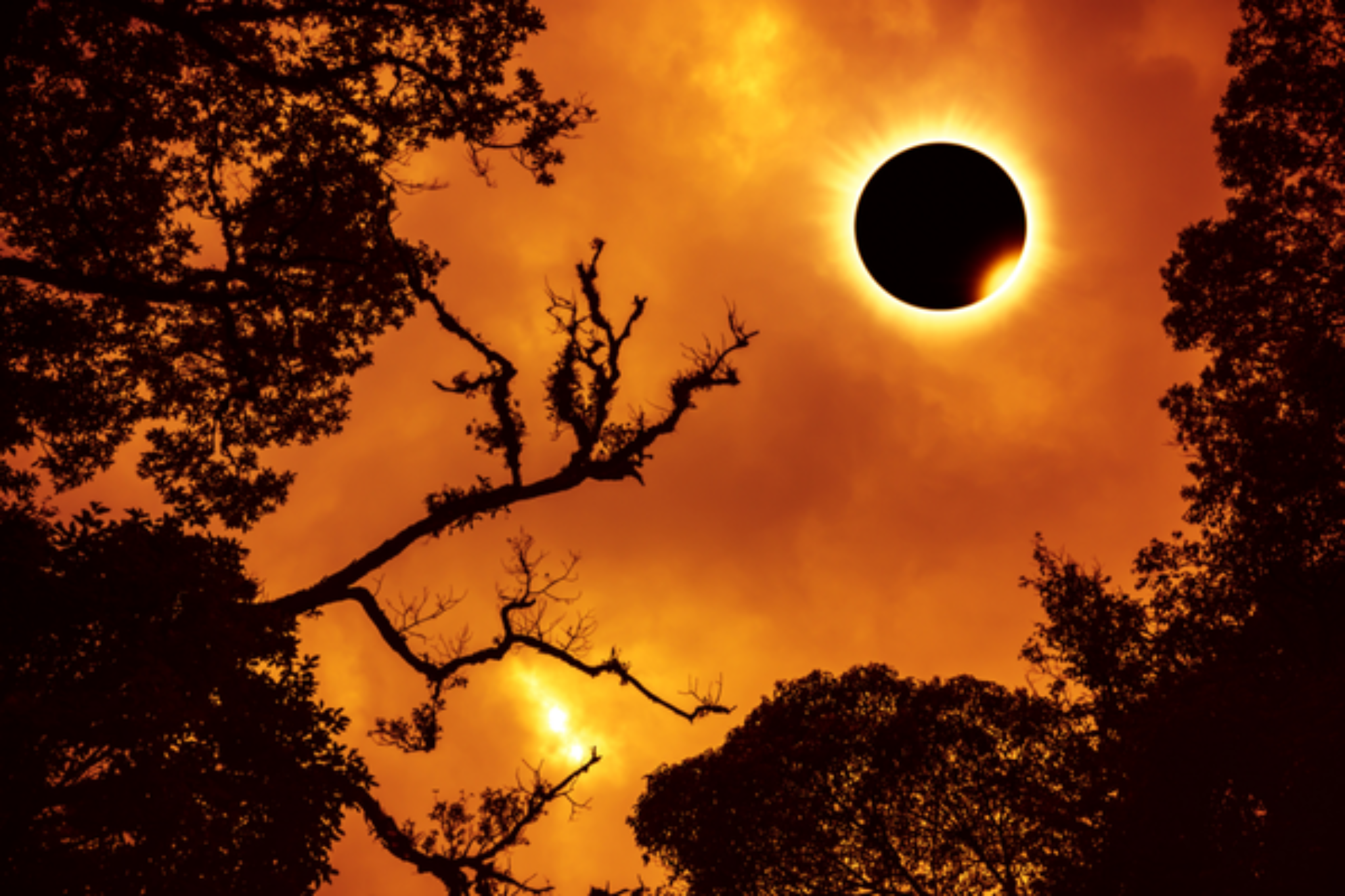 Solar Eclipses: Powerful Symbolism and Astrological Meaning - Symbol Sage