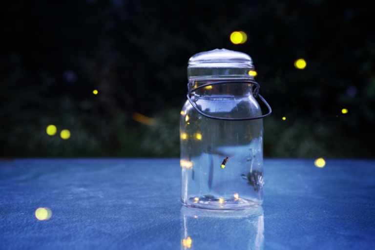 Firefly Folklore and Symbolism - Symbol Sage