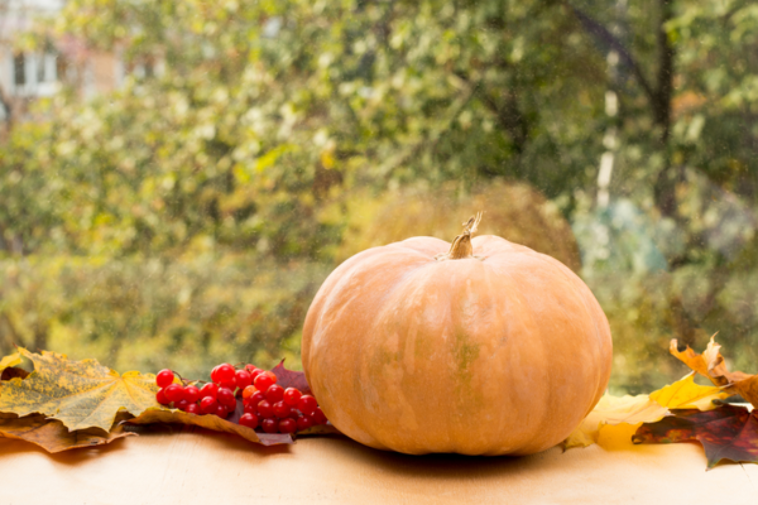 Symbols & Rituals of Mabon - Symbol Sage