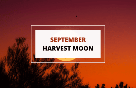 The Folklore of the September Harvest Moon - Symbol Sage
