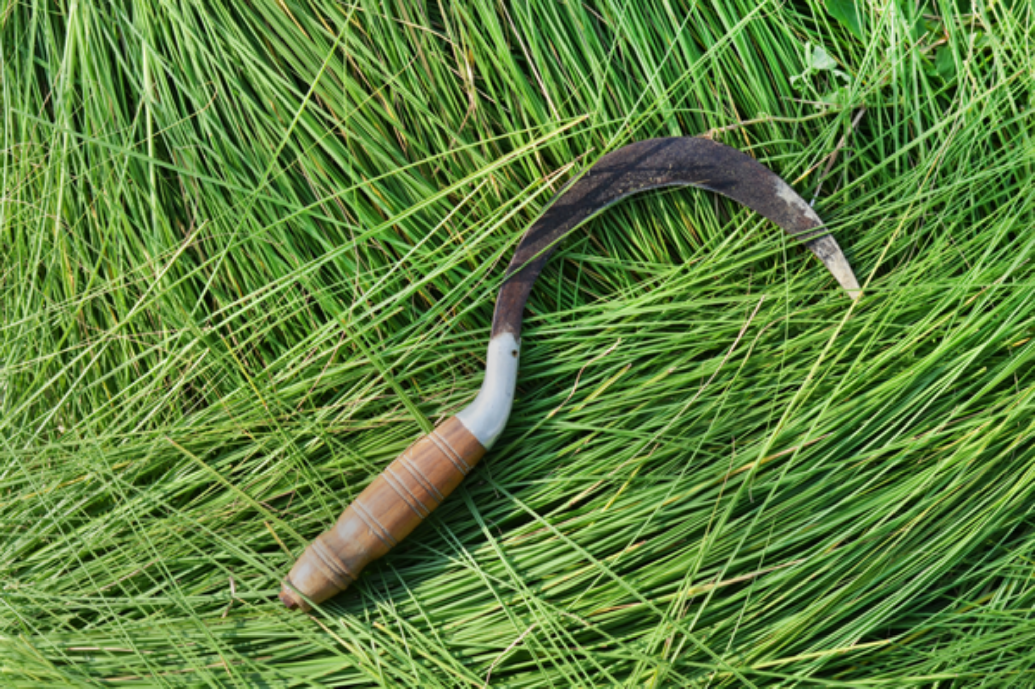 8 Powerful Tools Used in Witchcraft Then and Now - Symbol Sage