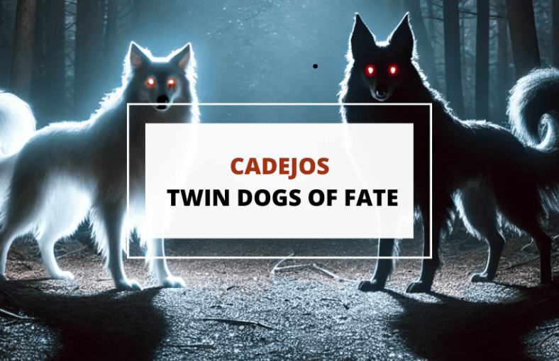 El Cadejo: The Twin Dogs of Fate - Symbol Sage