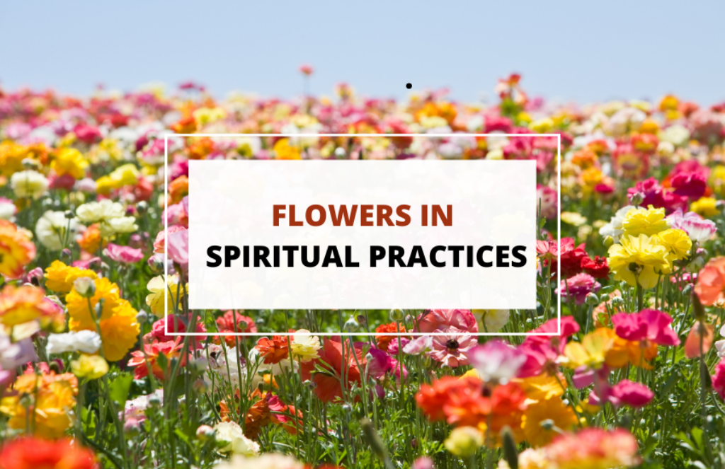 Blooming Flowers in Spiritual Practices - Symbol Sage