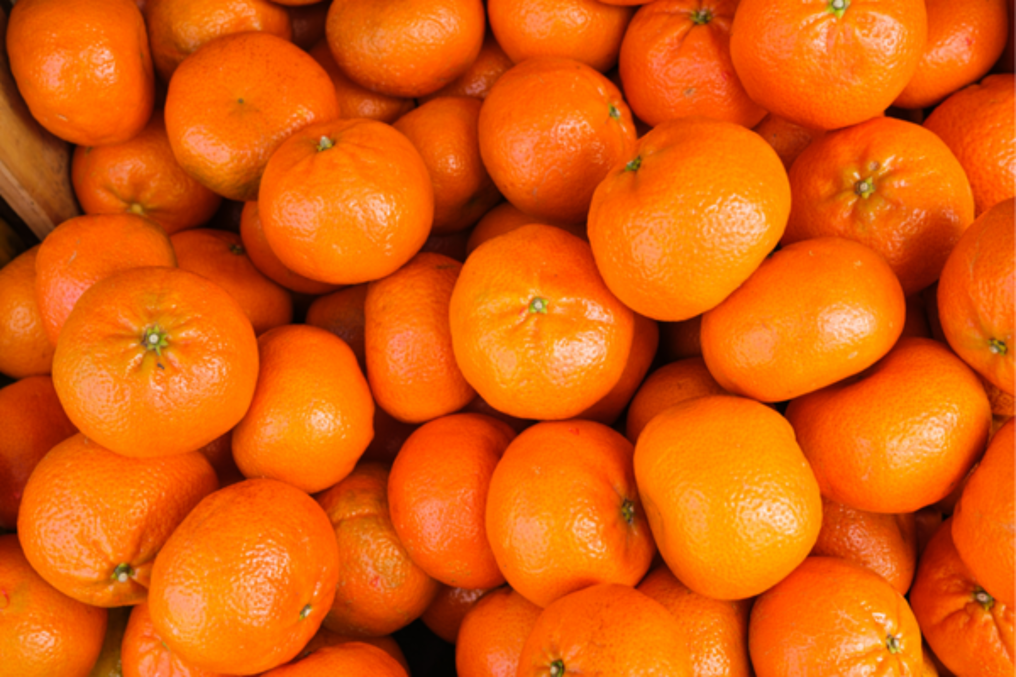 Symbolism of the Orange: And How to Use It! - Symbol Sage