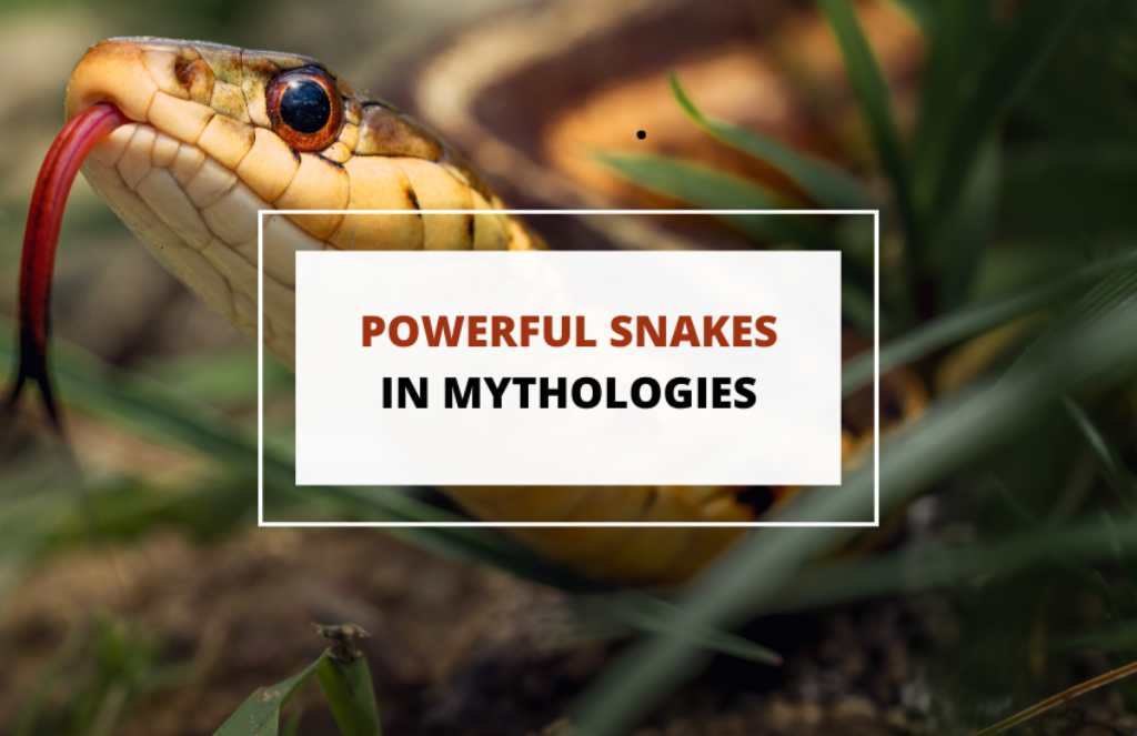 Powerful Snakes from Mythology and Religion - Symbol Sage