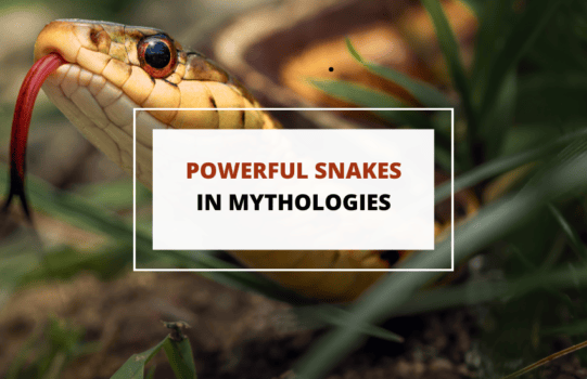 Powerful Snakes from Mythology and Religion - Symbol Sage