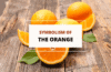 Symbolism of the Orange: And How to Use It! - Symbol Sage