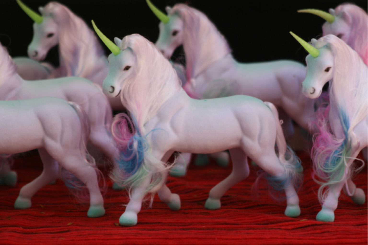 Could Unicorns Have Existed? - Symbol Sage