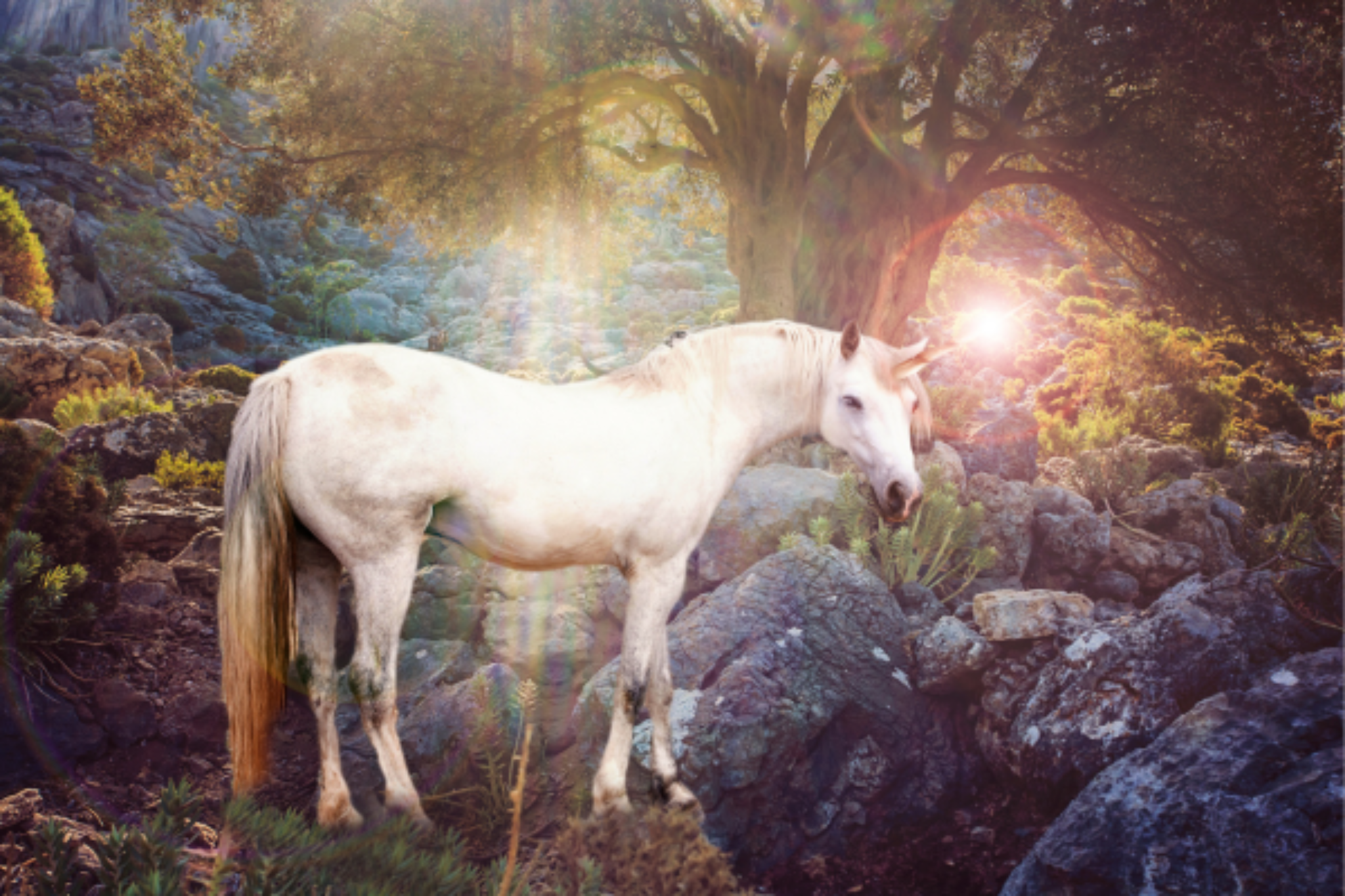 Could Unicorns Have Existed? - Symbol Sage